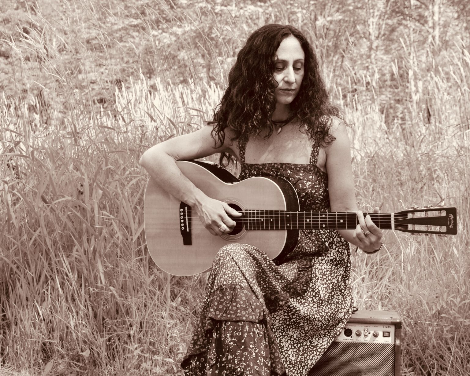 Amy Laber – Women's Work Concert